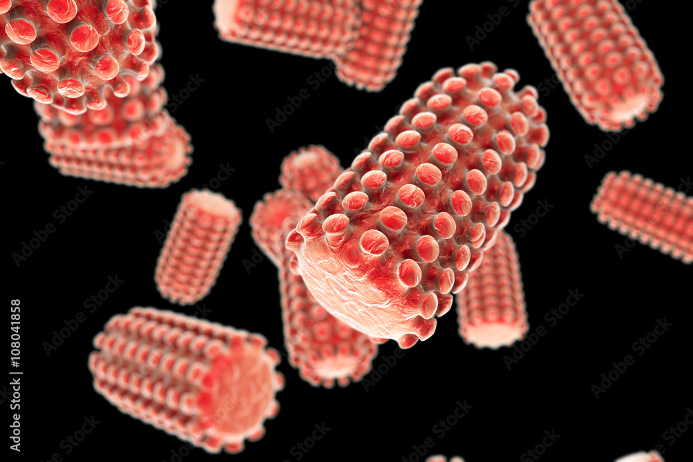 3D illustration of a rabies virus isolated on black background, a virus ...