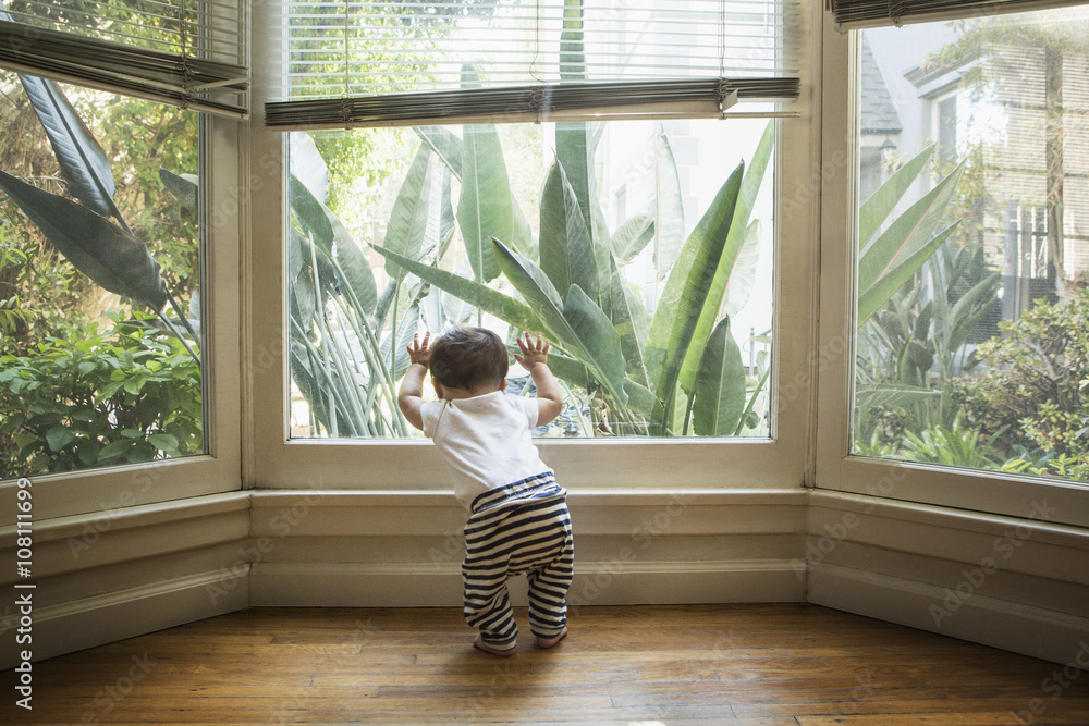 Baby boy looking out window Stock Photo | Adobe Stock