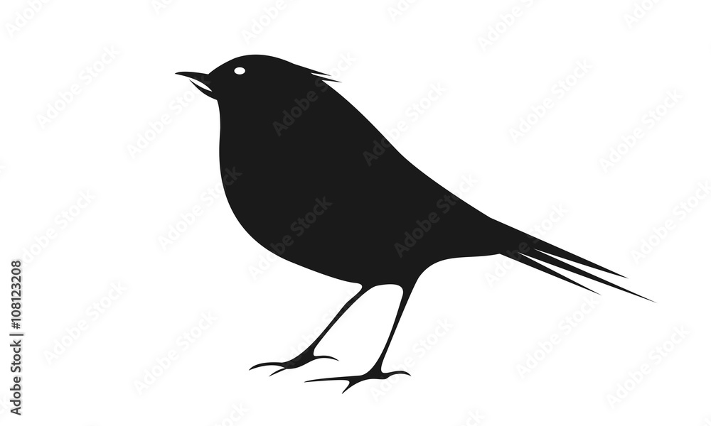 bird Stock Vector | Adobe Stock