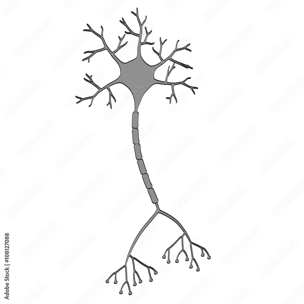 2d cartoon illustration of brain neuron Stock Illustration | Adobe Stock