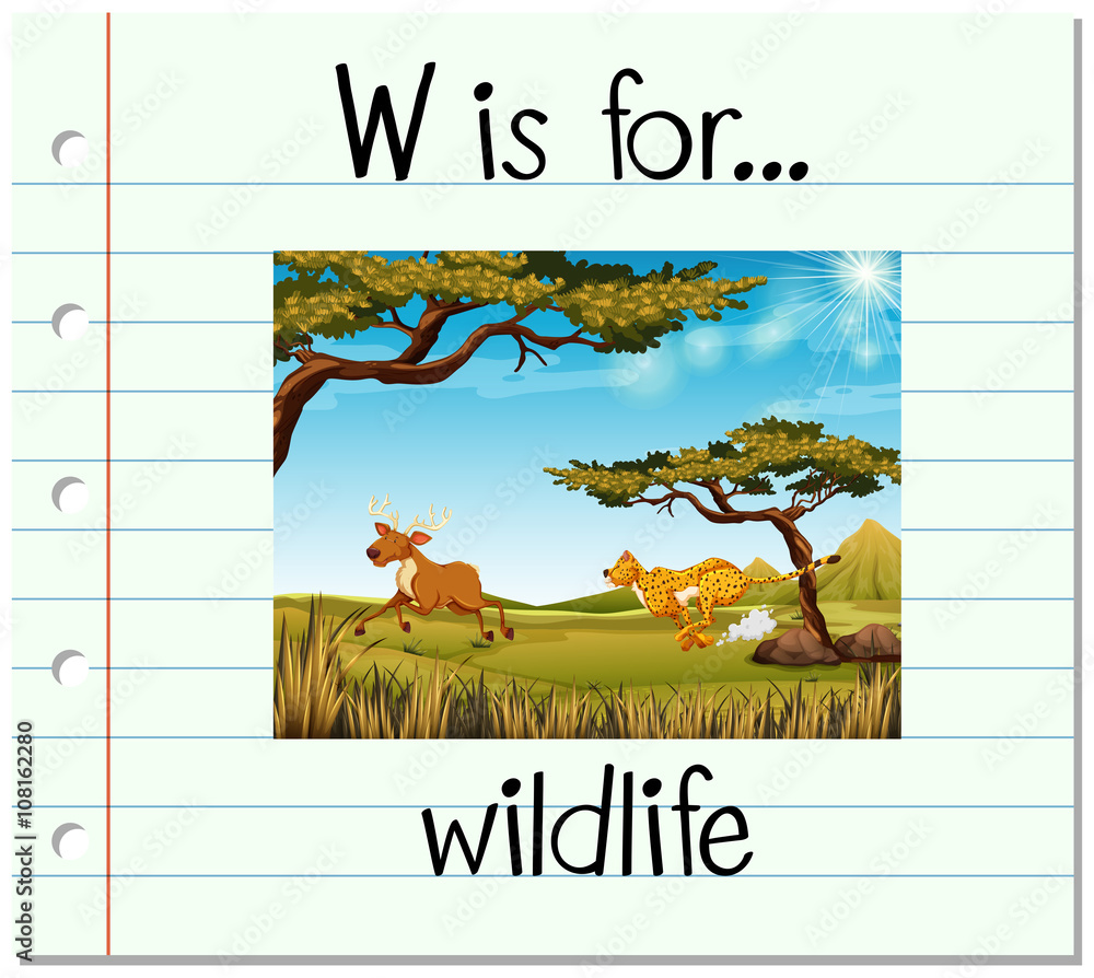 Flashcard letter W is for wildlife Stock Vector | Adobe Stock
