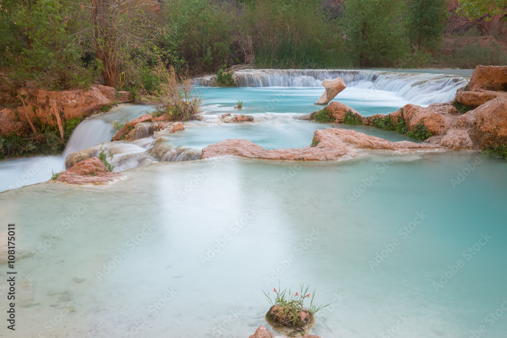 Multi-layered pool of Havasu Falls Stock Photo | Adobe Stock