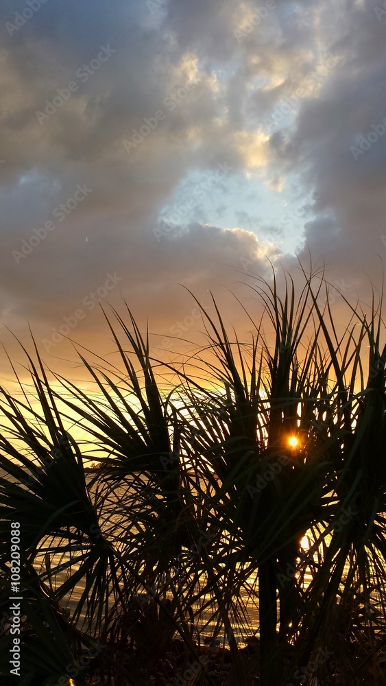 Sunset florida Stock Photo | Adobe Stock