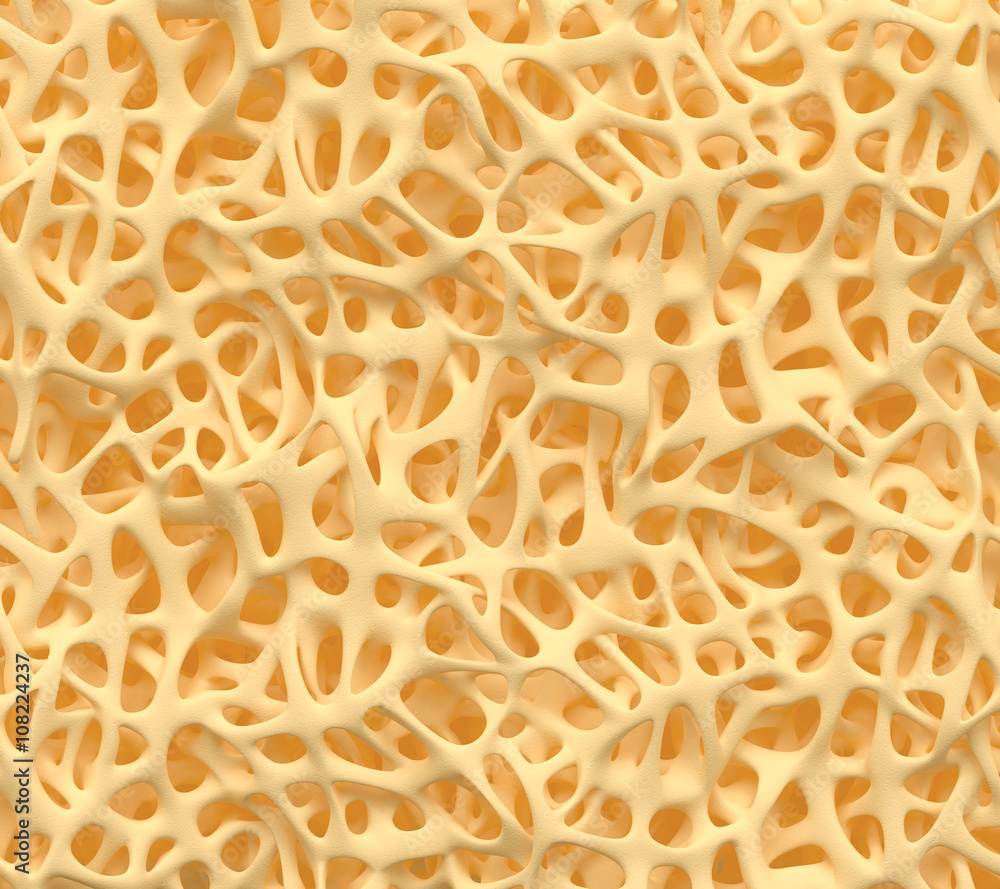 Bone spongy structure close-up, healthy texture of bone Stock ... Bone spongy structure close-up, healthy texture of bone Stock ...