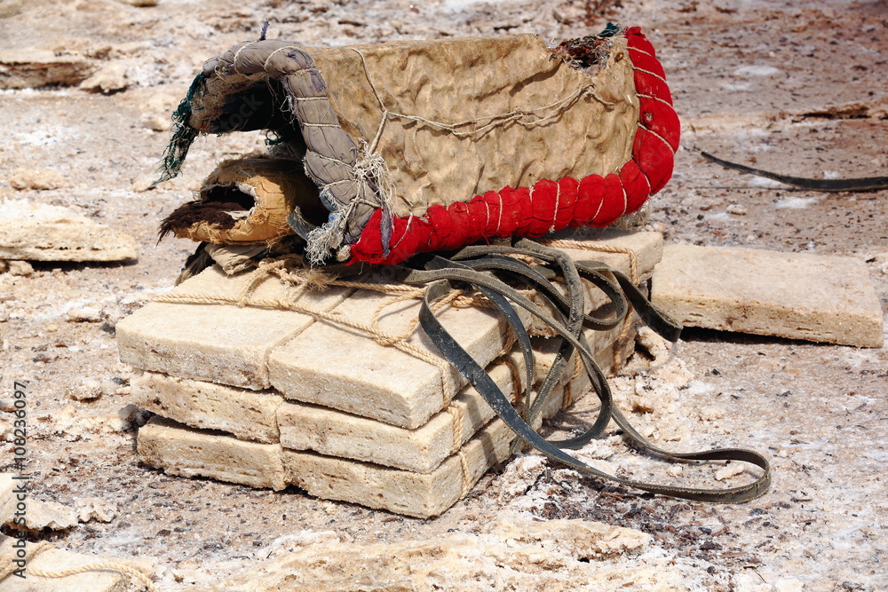 Stacks of amole-salt slabs ready to be loaded. Danakil-Ethiopia. 0351 ...