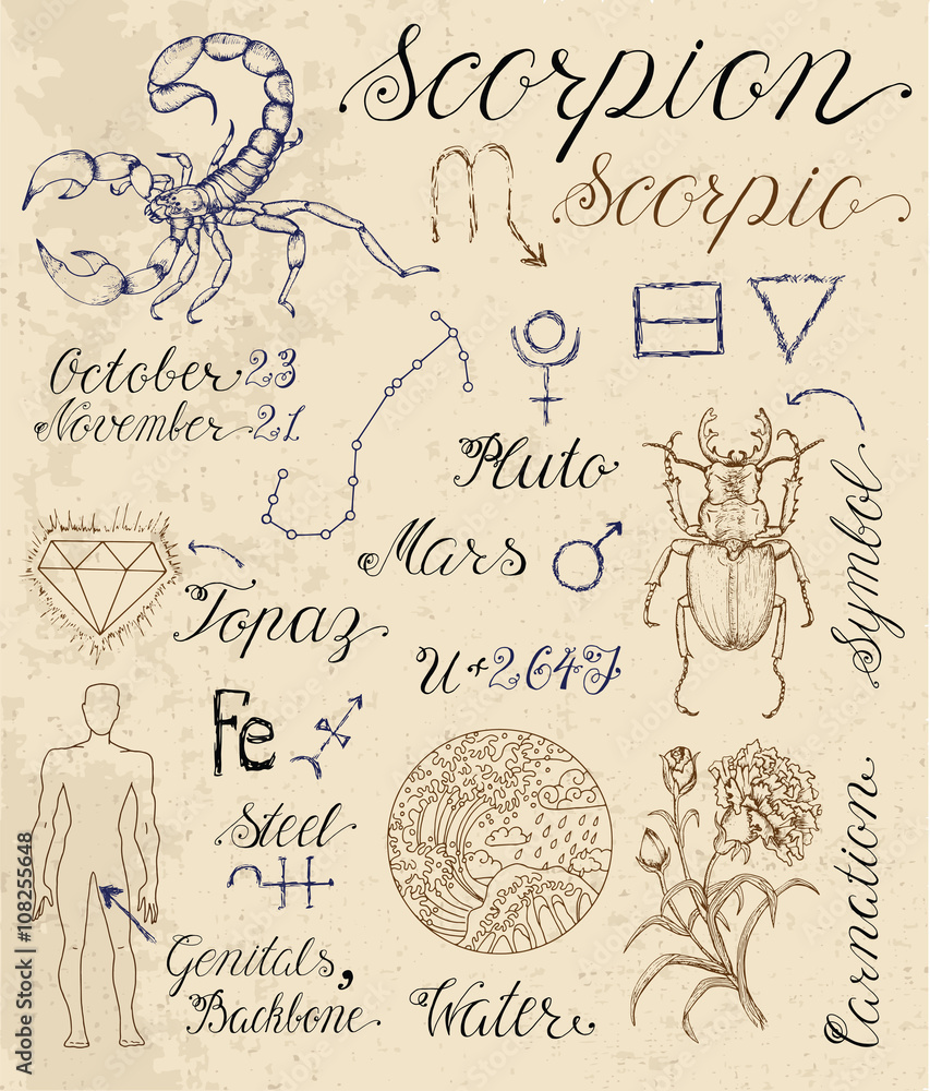 Full set of symbols for zodiac sign Scorpio or Scorpion Stock Vector ...