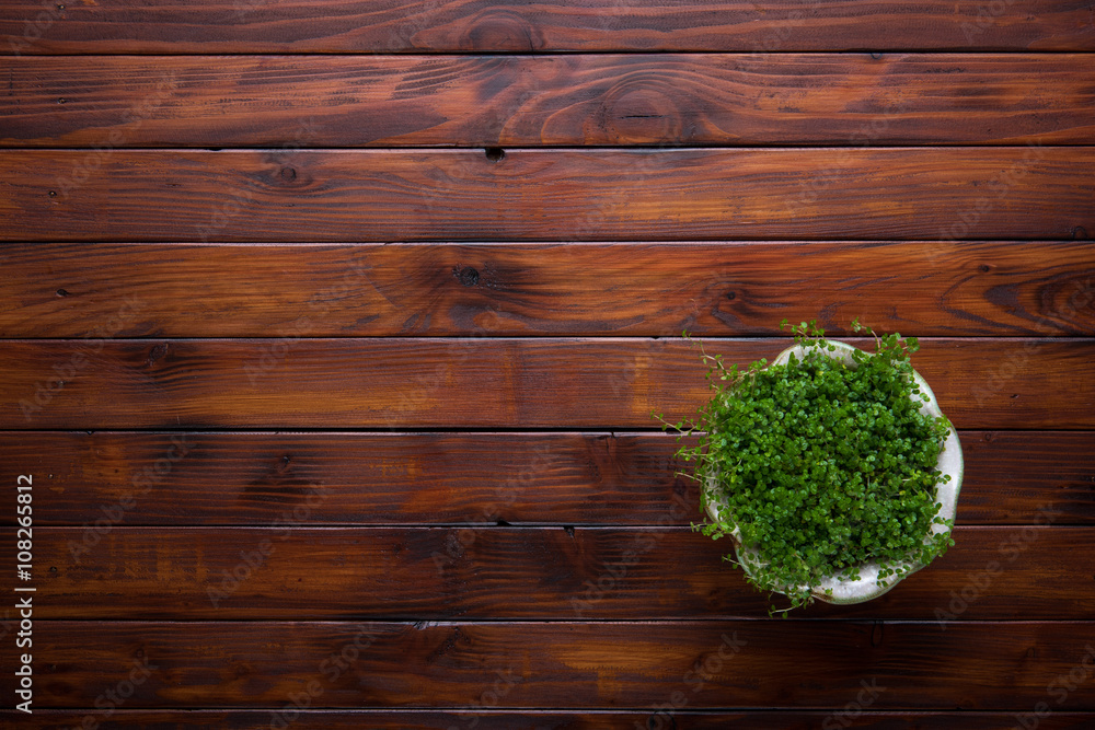 Potted flower over wooden table background with copy space Stock Photo ...