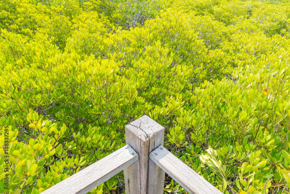 wooden fence on tagal mangrove forest "Thung Prong Thong" Background ...