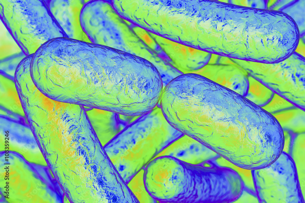 Bacterial infection. Rod-shaped bacteria Stock Illustration | Adobe Stock