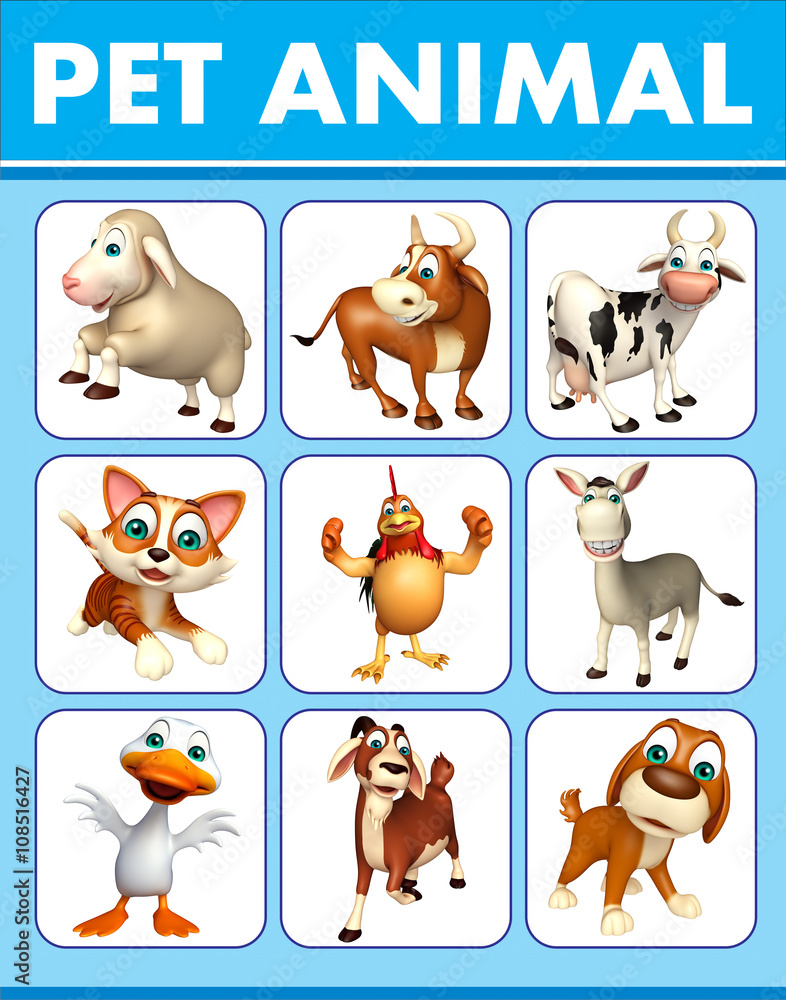 Pet Animals Chart