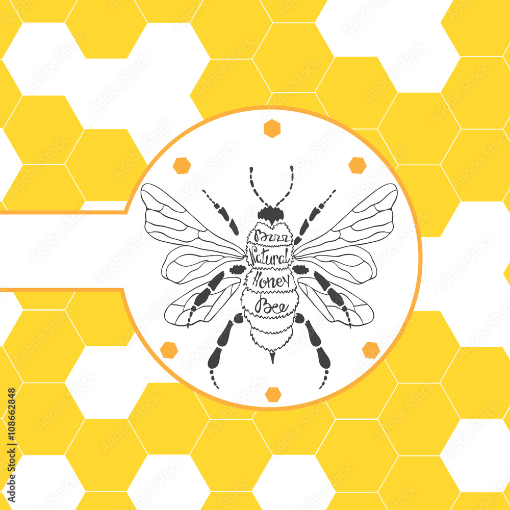 Honey illustration. Honey hand drawm background with bee.Stock vector ...
