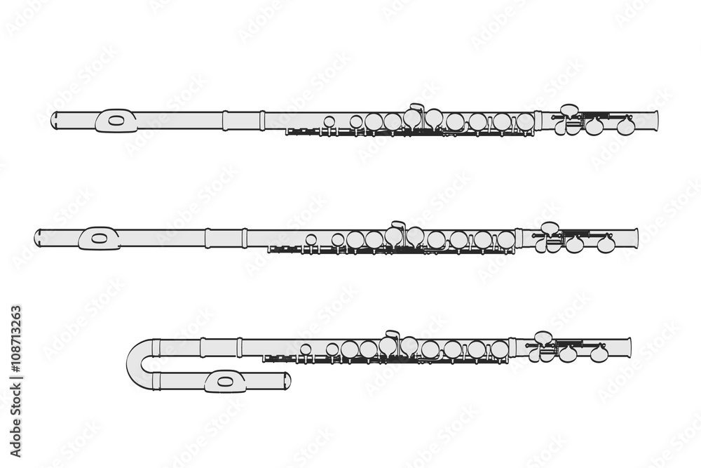 2d cartoon illustration of flutes Stock Illustration | Adobe Stock