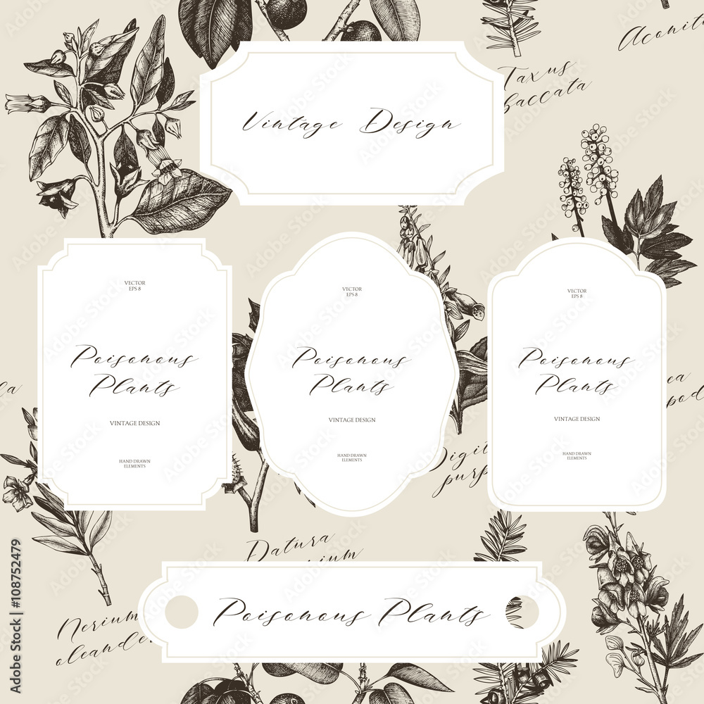 Vector frame design with hand drawn poisonous plants. Vintage noxious ...