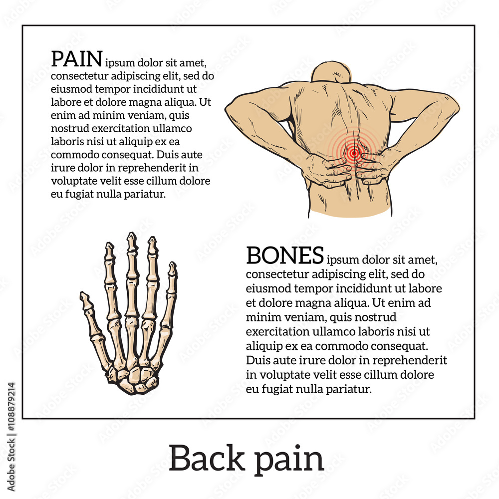 Lumbar pain in a man back pain in a human vector outline sketch, color ...