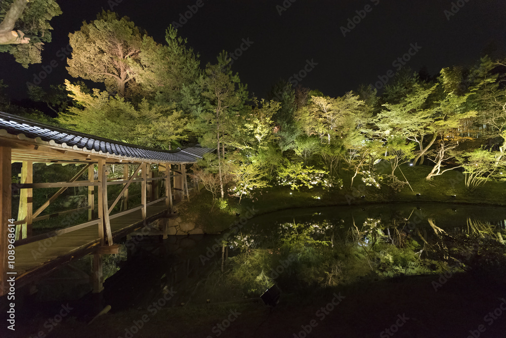 Japanese Garden At Night