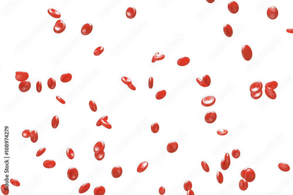 Red blood cells erythrocytes in interior of arterial or capillary blood ...