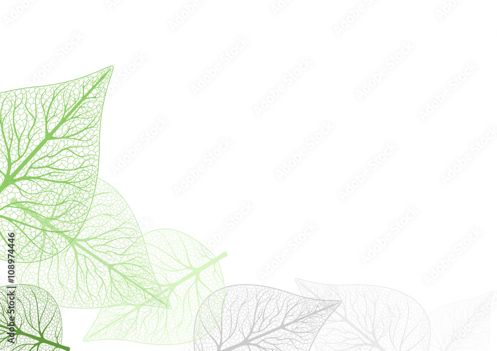 Leaf Vector Background
