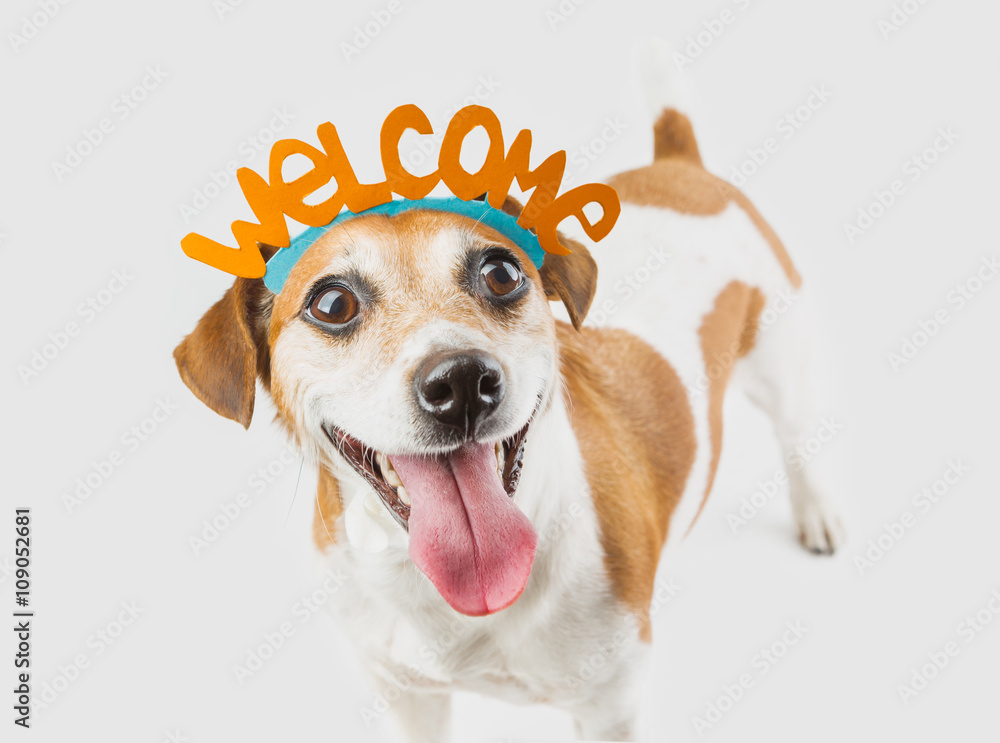 Spread The Word Smile Dog Email