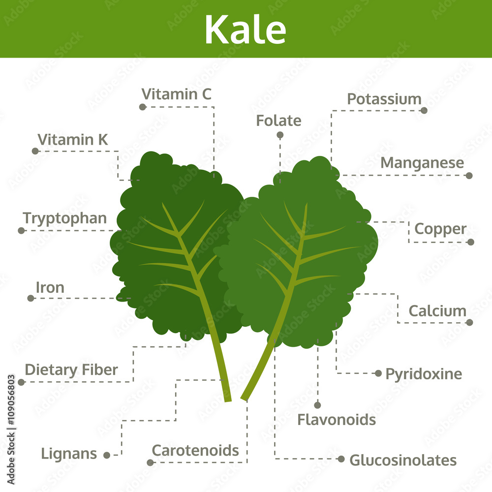 Kale Benefits