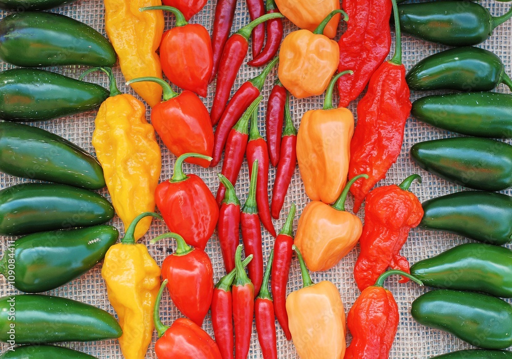 Colorful display of different types of hot peppers Stock Photo | Adobe ...