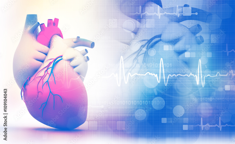 Human heart with ecg graph on white background. Stock Illustration ...