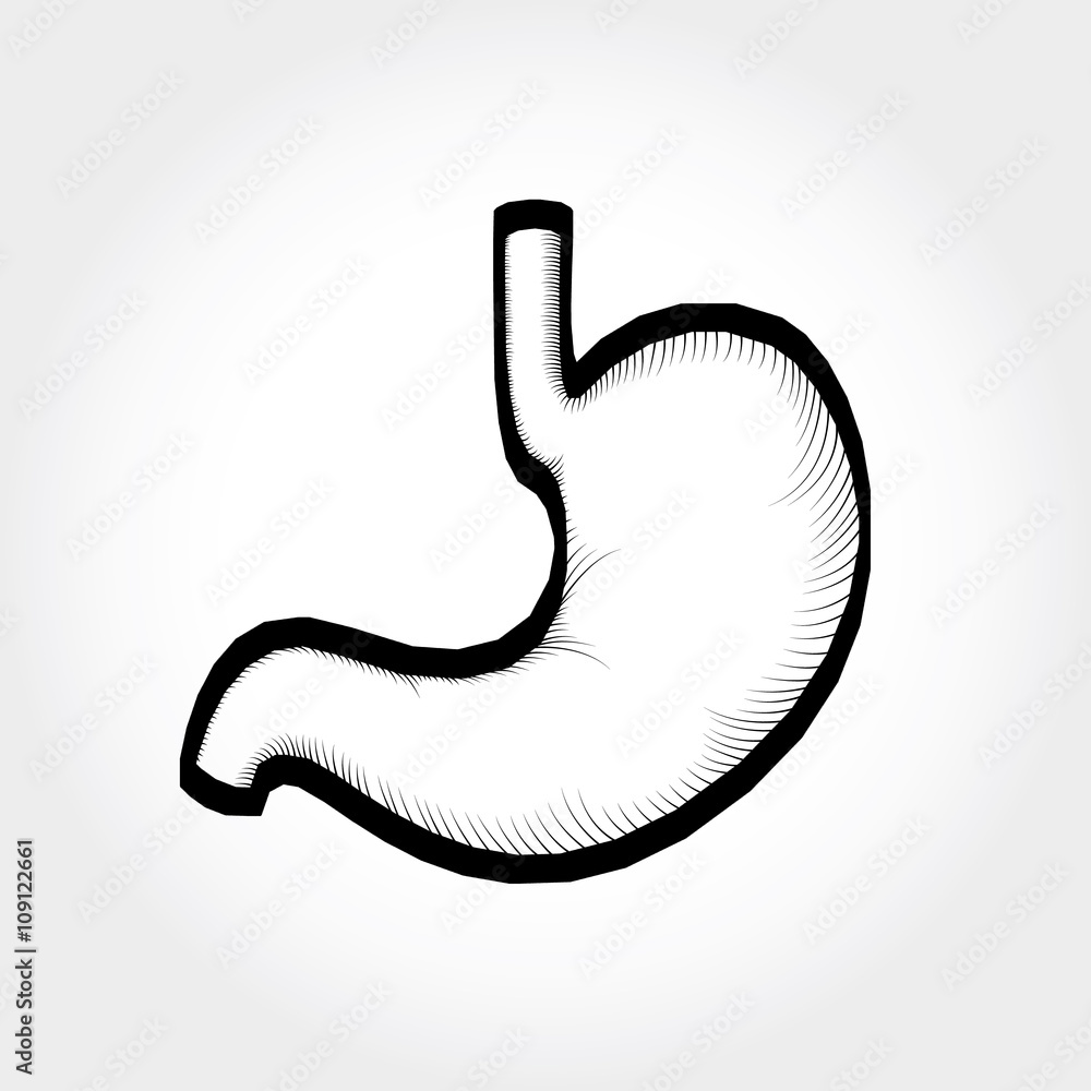 Stomach hand drawn sketch icon. Stomach symbol isolated. Stock Vector ...