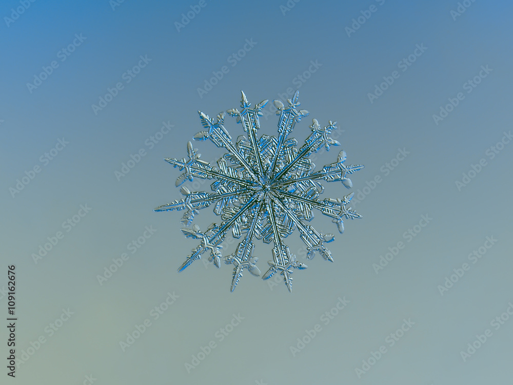 Snowflake on smooth gradient background: macro photo of real snow ...