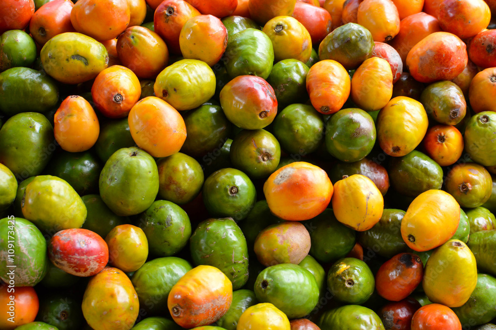 Jocote fruits, aka mombin, hog plum and sineguela, at a local fresh ...