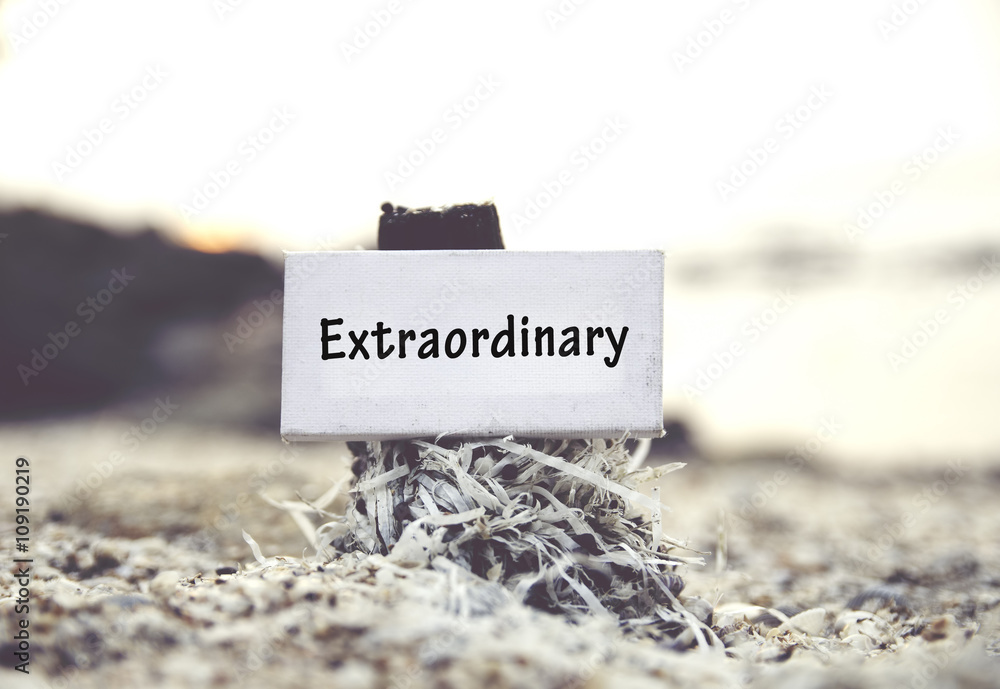 concept image, word EXTRAORDINARY on white canvas frame with blurred ...