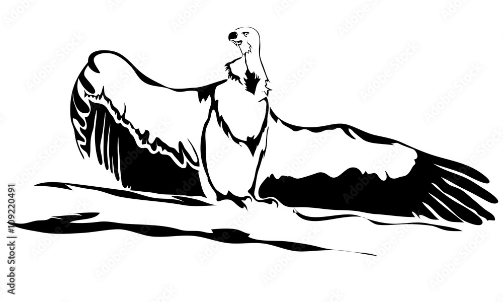 Realistic outline vulture vector illustration. Can be use for lo Stock ...