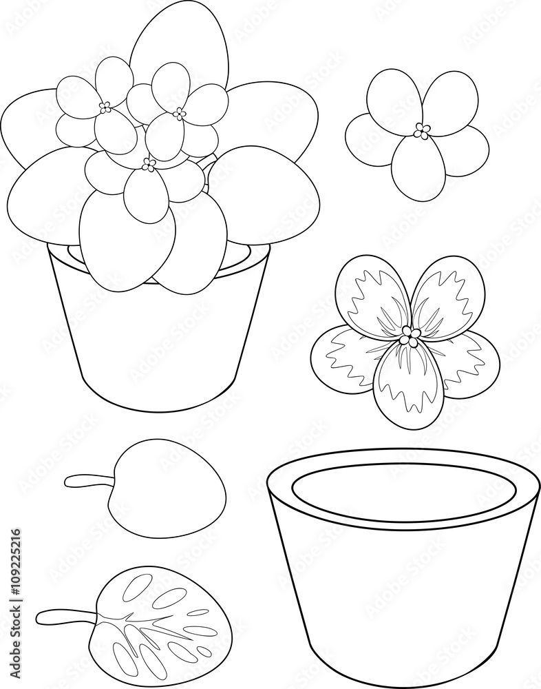 Violet Coloring Pages