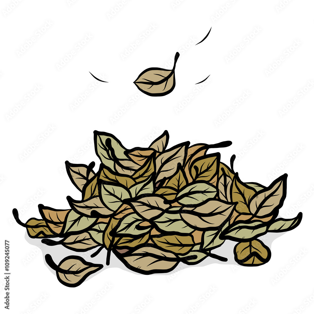 fallen leaves / cartoon vector and illustration, hand drawn style ...