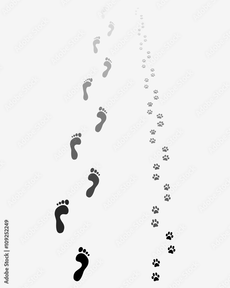 Footprints of man and dog, vector illustration Stock Vector | Adobe Stock