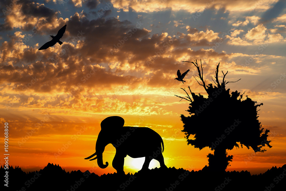 Jungle with old tree, birds and elephant on golden cloudy sunset ...
