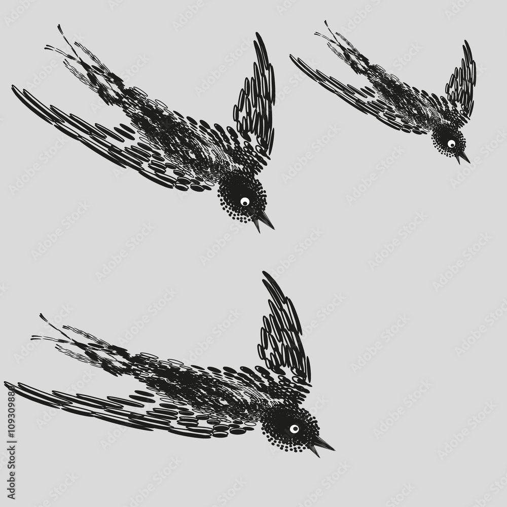 Vecteur Stock Illustration of three Common Swift in flight Drawing ...