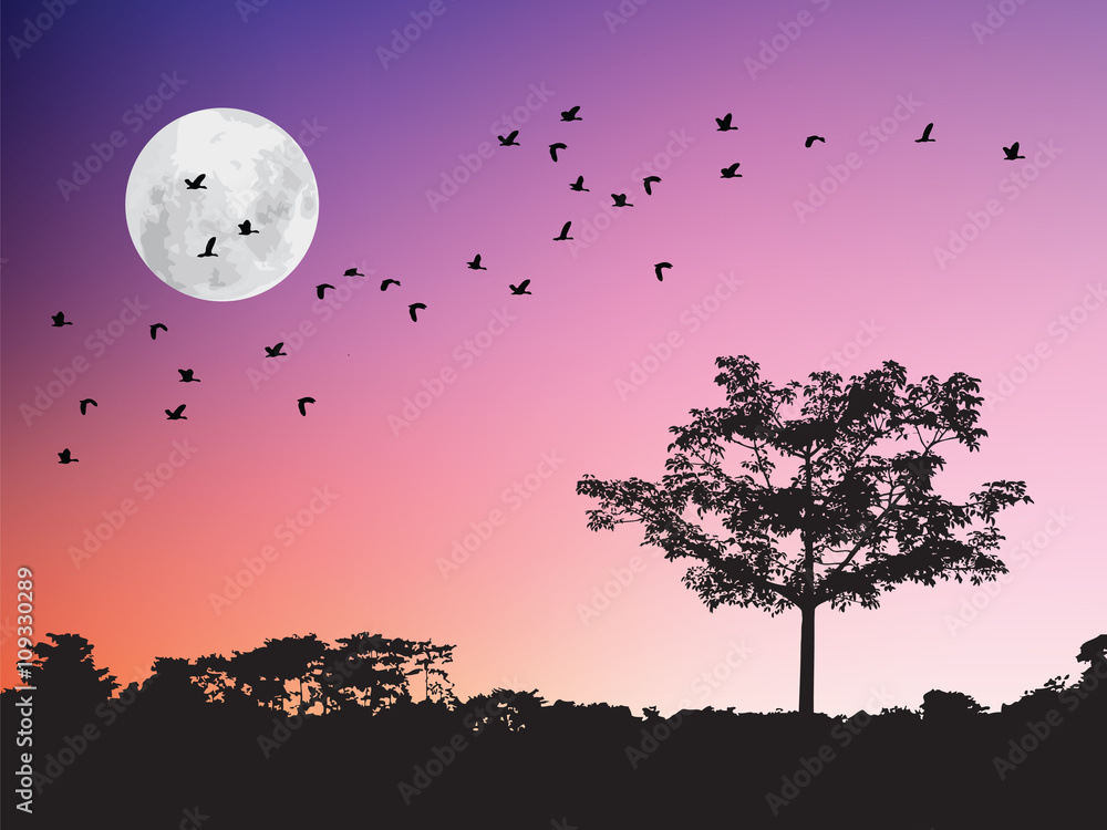 Birds Flying From Tree Silhouette