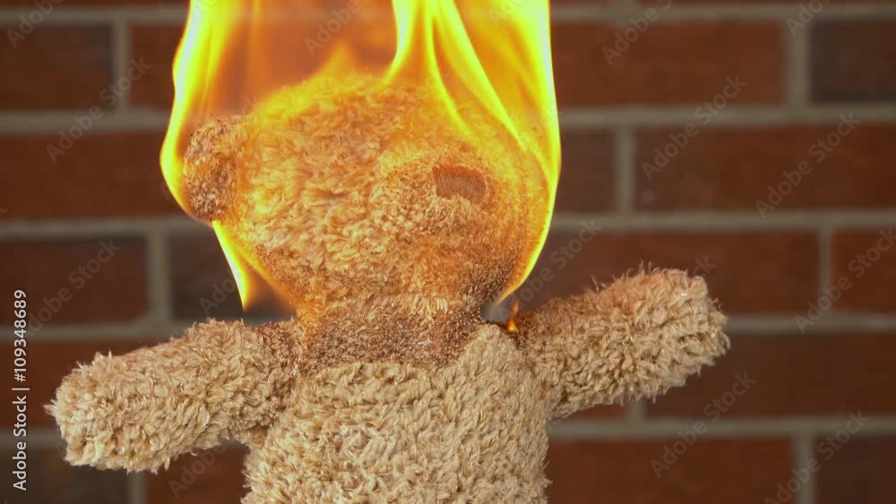 Teddy bear being lit on fire and burning in a blaze of flames. Stock ...
