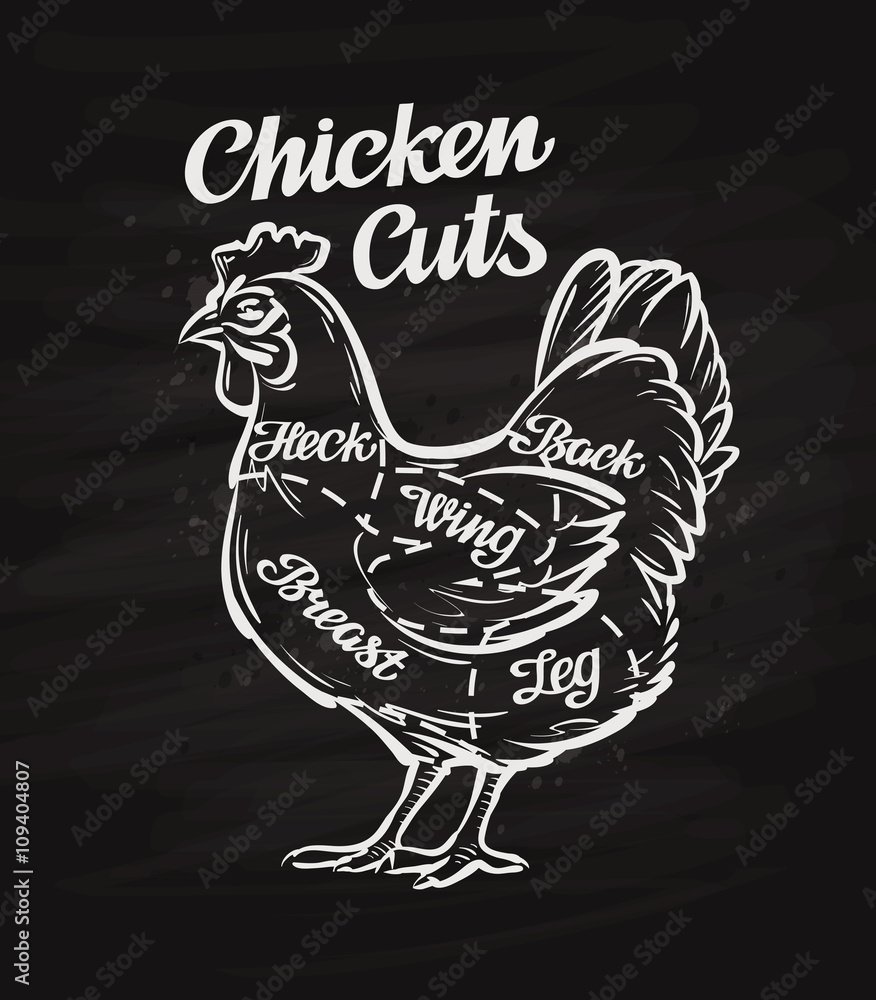 chicken cuts. template menu design for restaurant, cafe Stock Vector ...