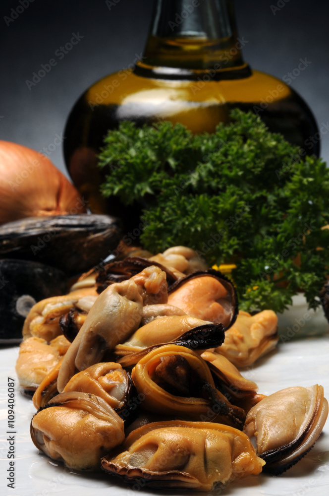 صدف سیاه مدیترانه Mytilus galloprovincialis 地中海貽貝 Miesmuscheln aus ...