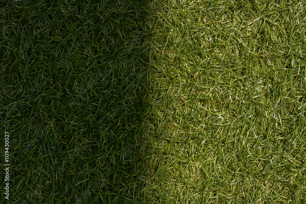 Green grass texture background, sunlight causes shadows. Stock Photo ...