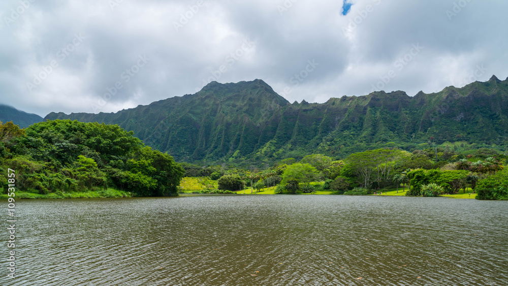 The Hawaiian rain forest of botanical gardens on the tropical island ...