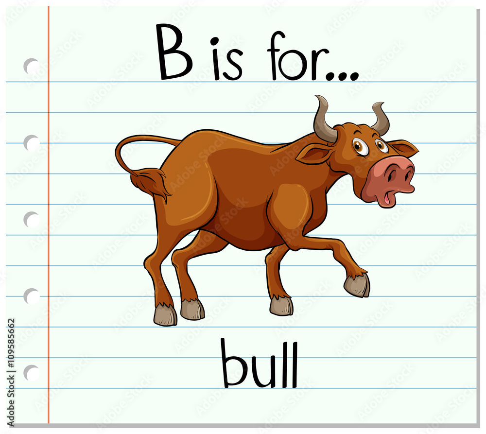 Flashcard letter B is for bull Stock Vector | Adobe Stock