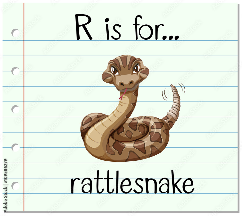 Flashcard letter R is for rattlesnake Stock Vector | Adobe Stock