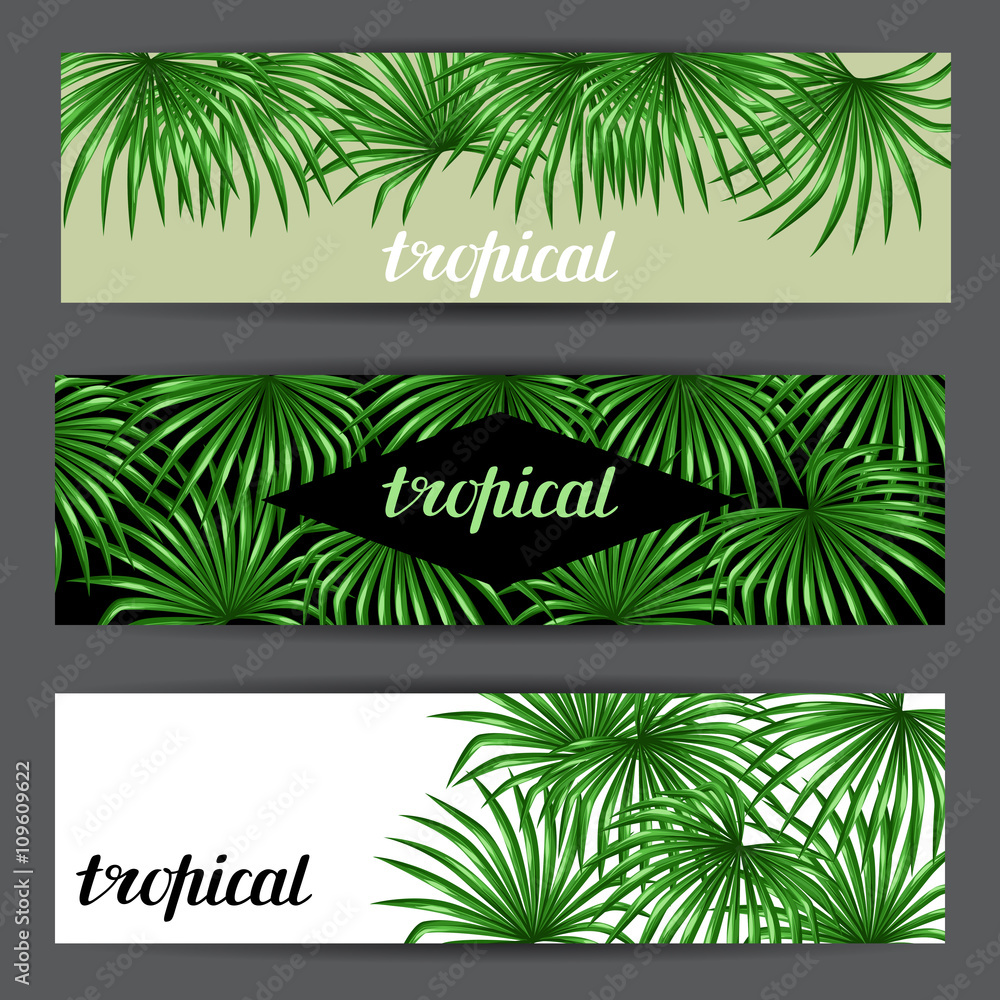 Banners with palms leaves. Decorative image tropical leaf of palm tree ...