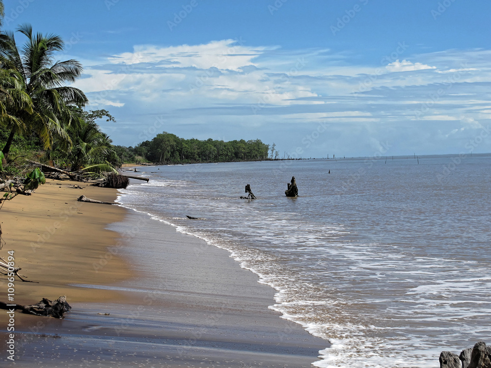 Plage de Belle Terre de la commune de Tonate-Macouria en Guyane ...