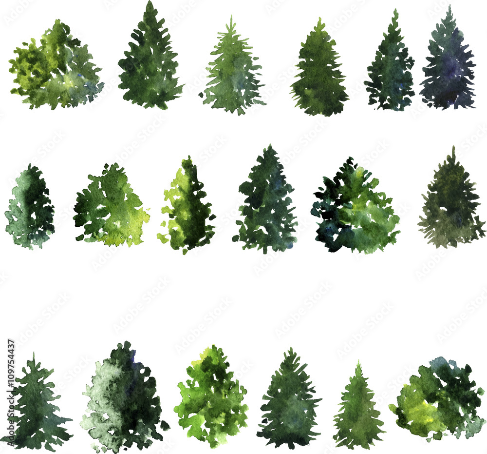 set of trees drawing by watercolor Stock Vector | Adobe Stock