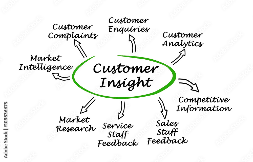 Diagram of Customer Insight Stock Illustration | Adobe Stock