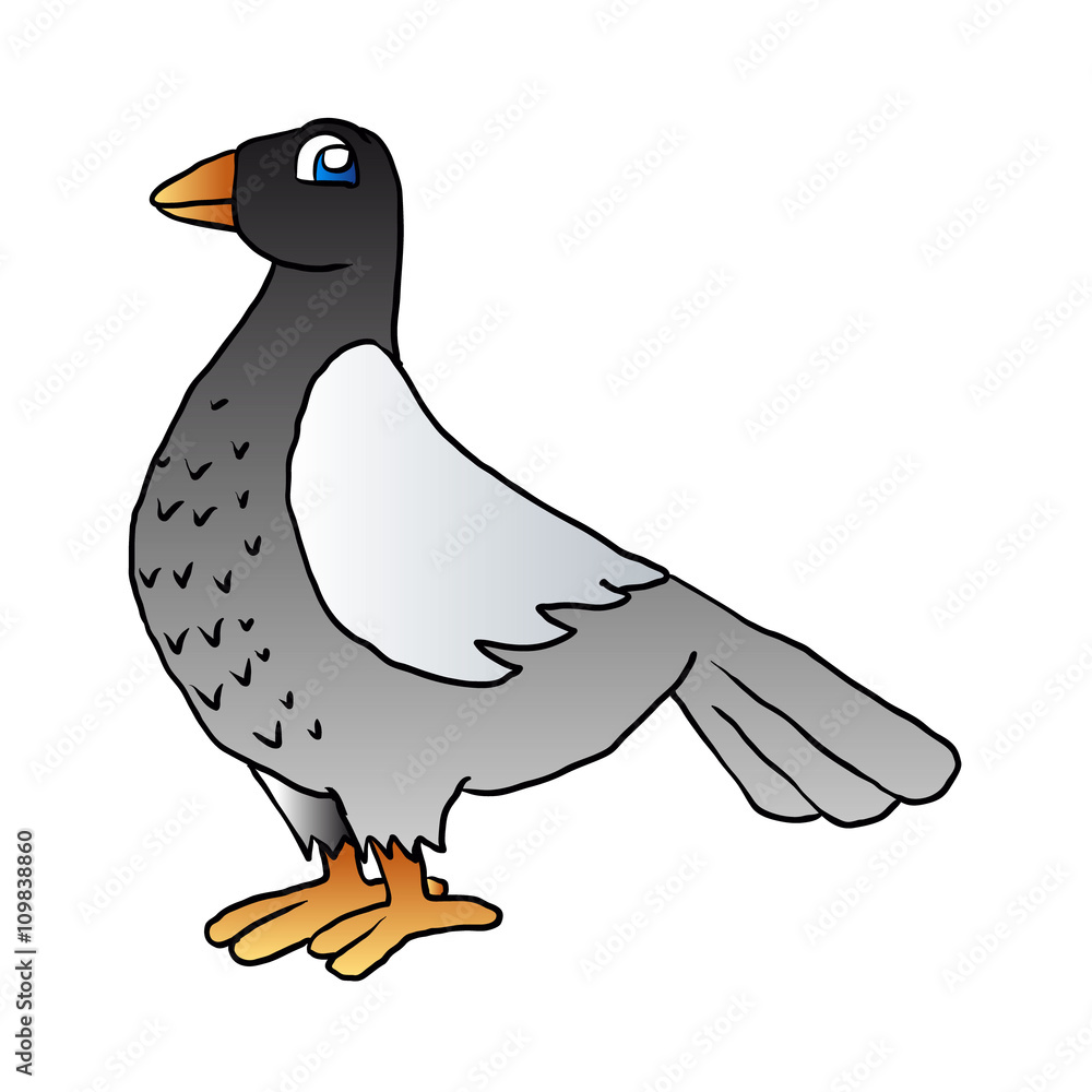 cartoon pigeon Stock Vector | Adobe Stock