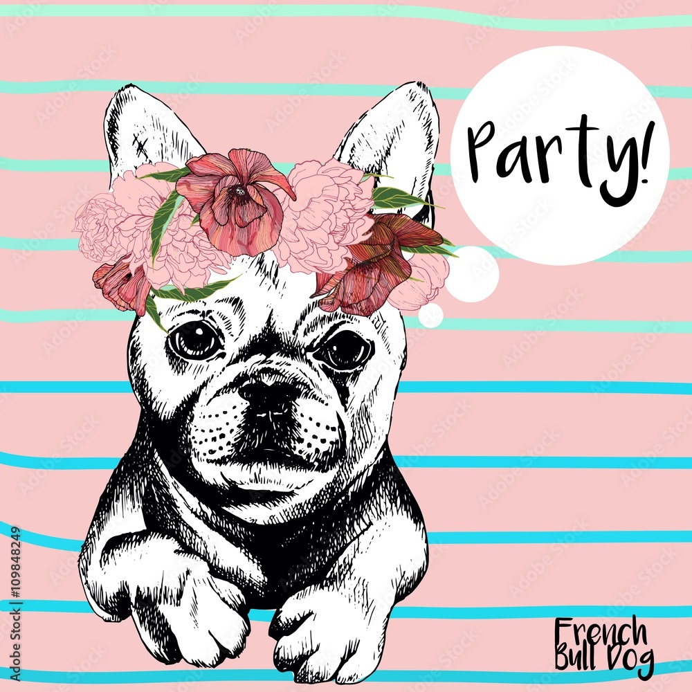 Vector close up portrait of french bulldog girl, wearing the flower ...