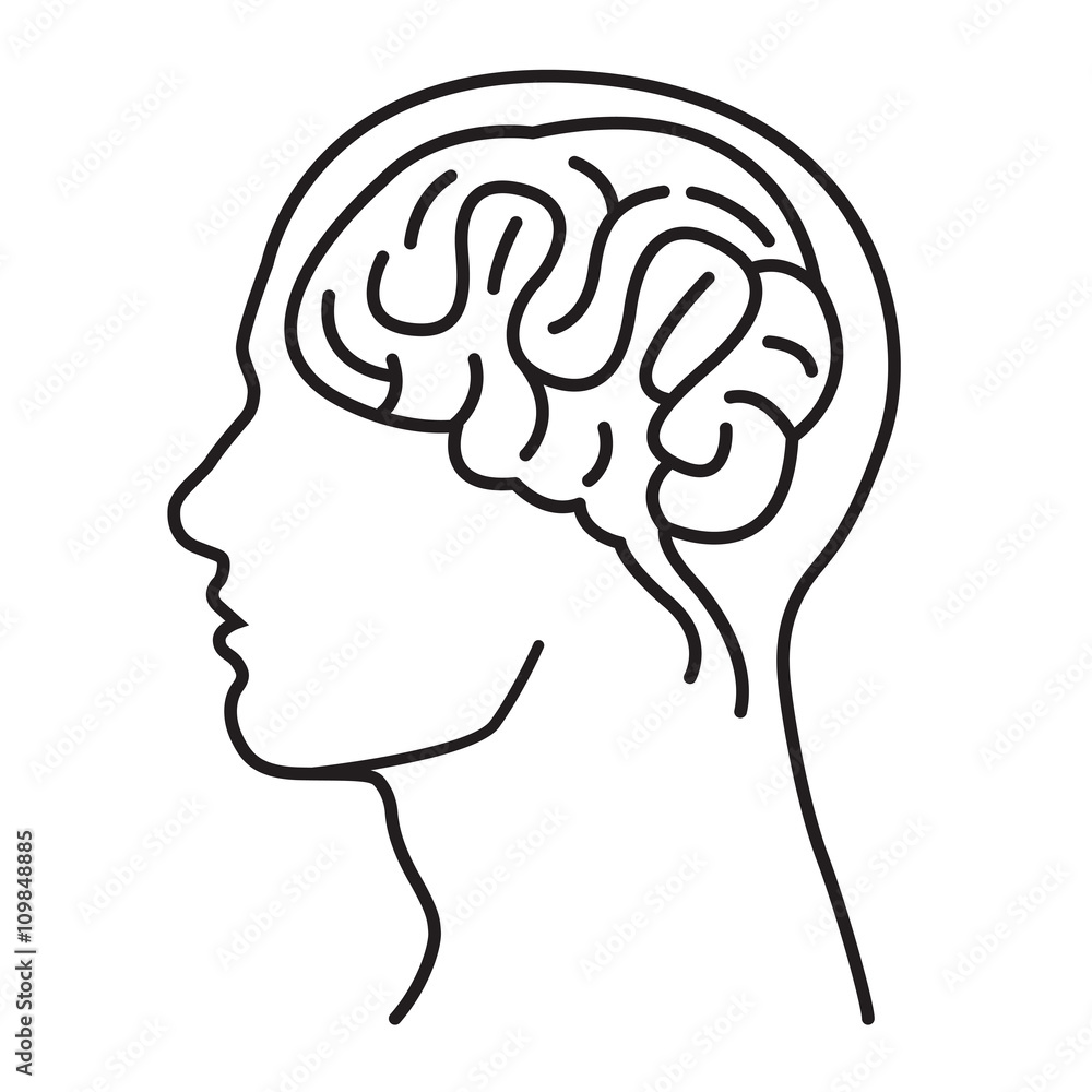 Men Brain Head Illustration Men Brain Head Outline Draw Illustration
